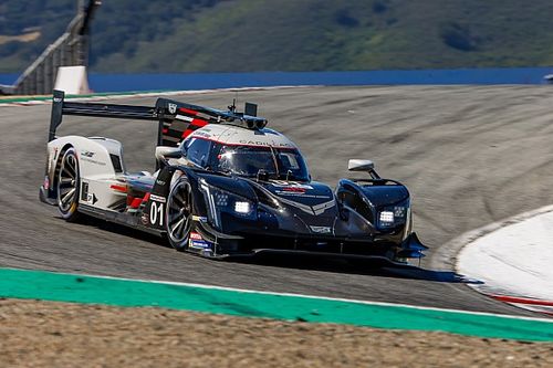 IMSA Latest News, Information, Analysis, Drivers and Videos