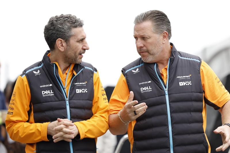Lob für McLaren-Teamchef Andrea Stella: "Der Kerl ist fantastisch"