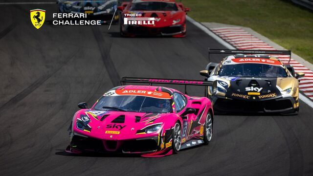 Chuck Sonson Profile - Bio, News, High-Res Photos & High Quality Videos